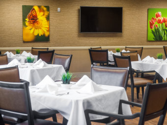 Carespring Health Care Management | 15 Nursing Homes / Skilled Nursing ...