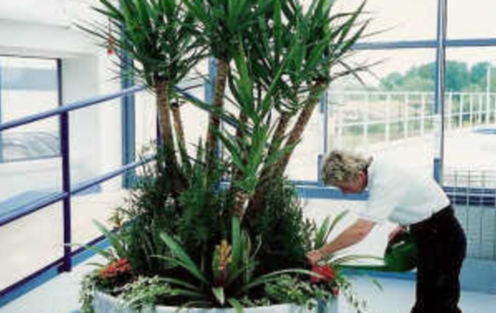 Bay Area Healthcare Center Nursing Home Oakland Skilled Nursing