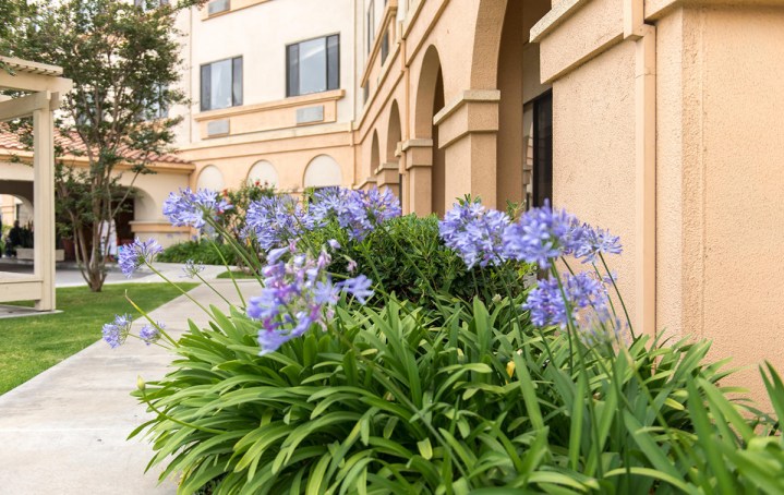 Fountain Valley Post Acute | Nursing Home | Fountain Valley Skilled ...
