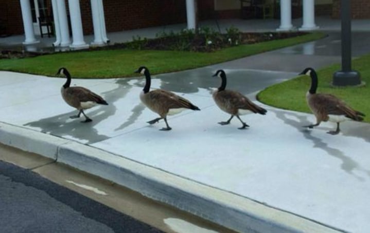 Rice Nursing Home | Columbia Skilled Nursing Facility
