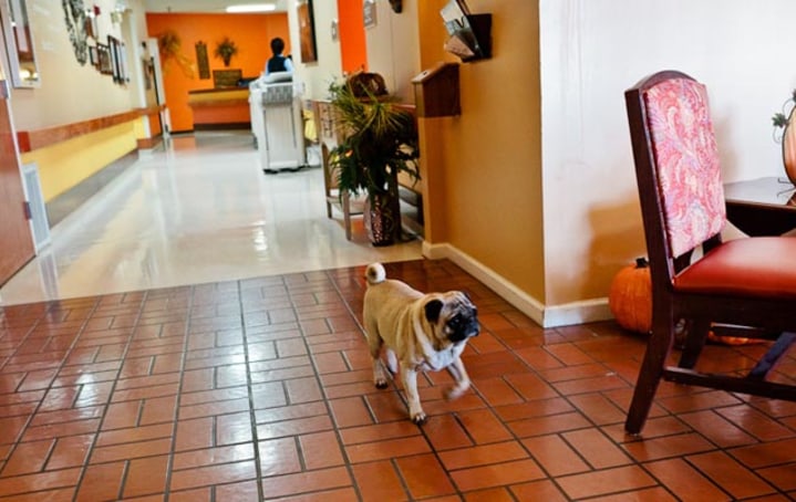 River Ridge Rehabilitation and Care Center nursing home, 1100 East ...