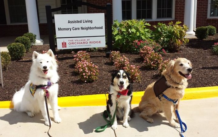 The Village at Orchard Ridge | Nursing Home | Winchester Skilled ...