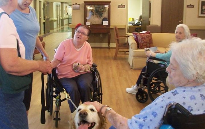 Valley View Care & Rehab Center | Nursing Home | Andrews Skilled ...