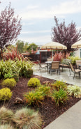 Vista Post Acute | Nursing Home | Hayward Skilled Nursing Facility