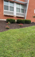Elegant Superior Manor Of Festus Pictures