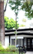 Brighton Place Spring Valley nursing home, 9009 Campo Road, Spring ...