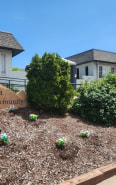 Wheatridge Manor Care Center | Nursing Home | Wheat Ridge Skilled ...